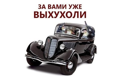 Наутилус: 500 млн лет без изменений | Пикабу
