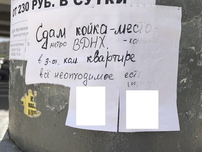 Объявление | Пикабу