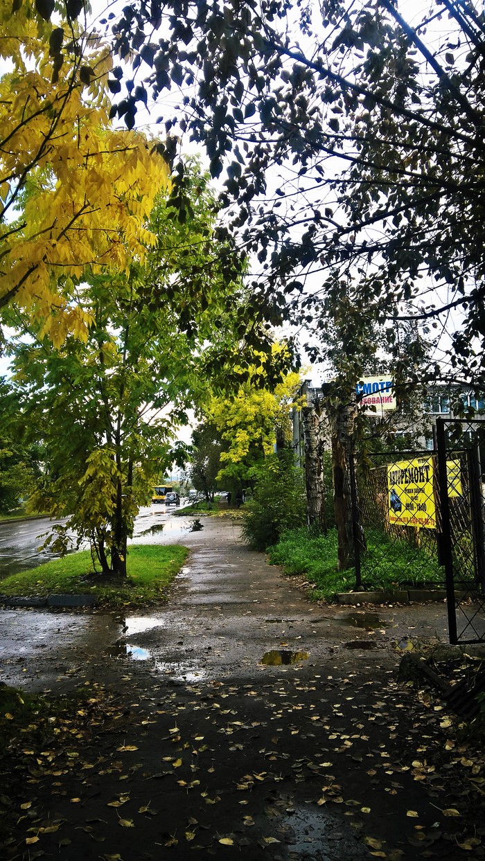 После дождя | Пикабу
