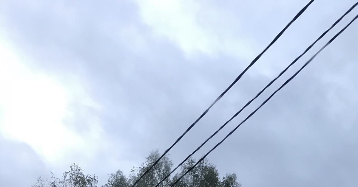Громозека | Пикабу