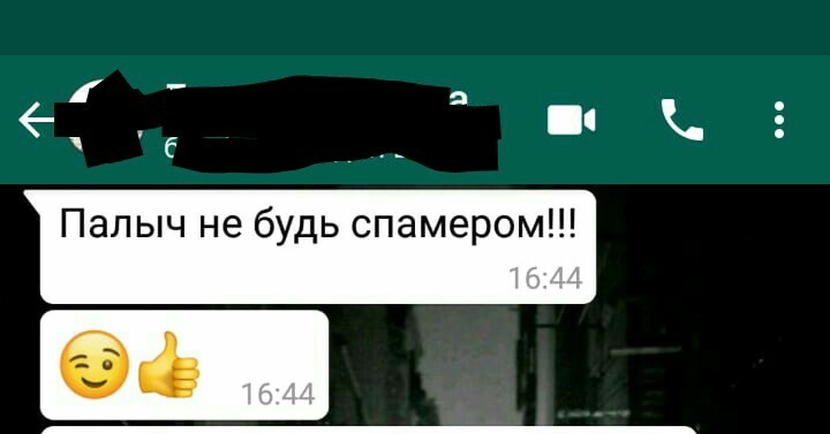 Моя подруга. | Пикабу