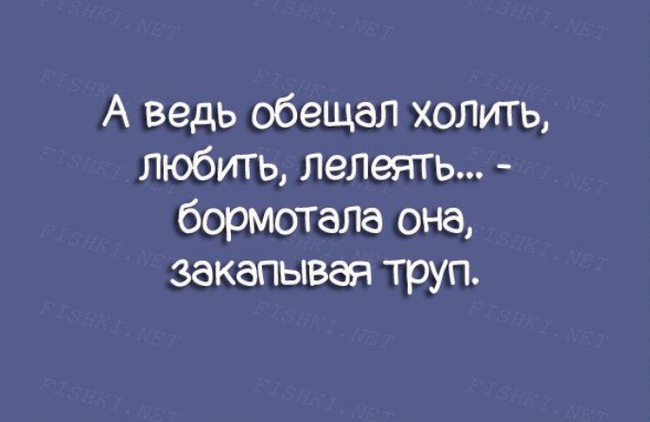 Lady - Predator | Пикабу