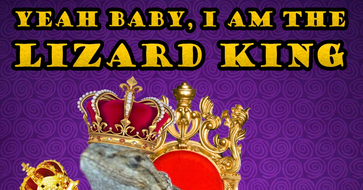 Lizard king | Пикабу