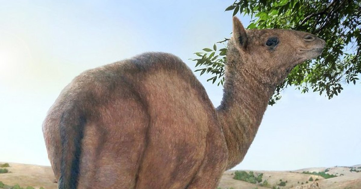 Titanotylopus | Пикабу