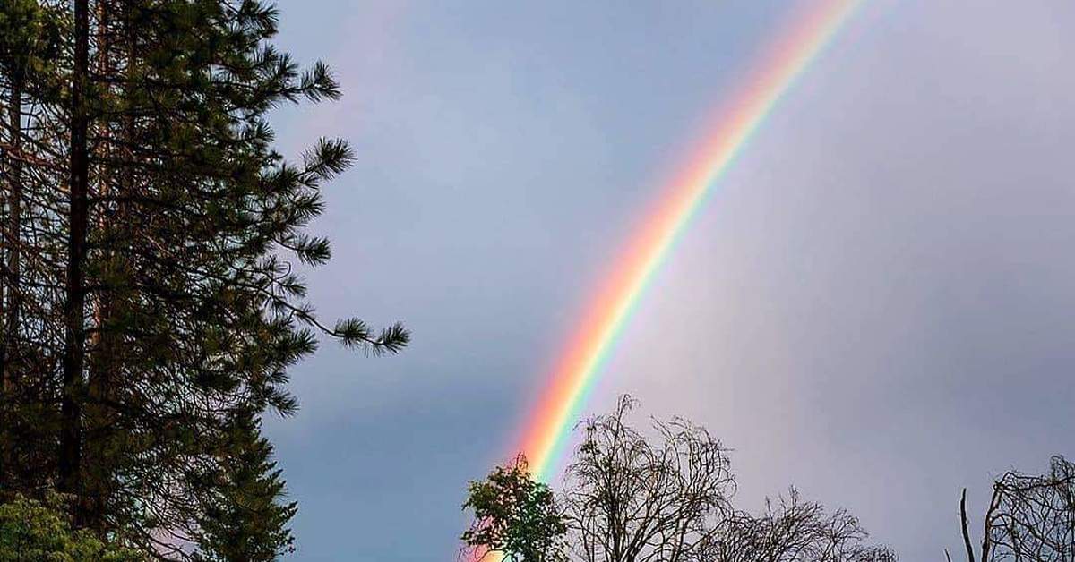 Радуга... | Пикабу