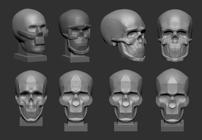 3d модель костей черепа человека