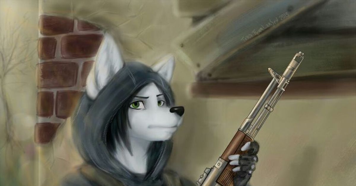 CS:GO with furry | Пикабу