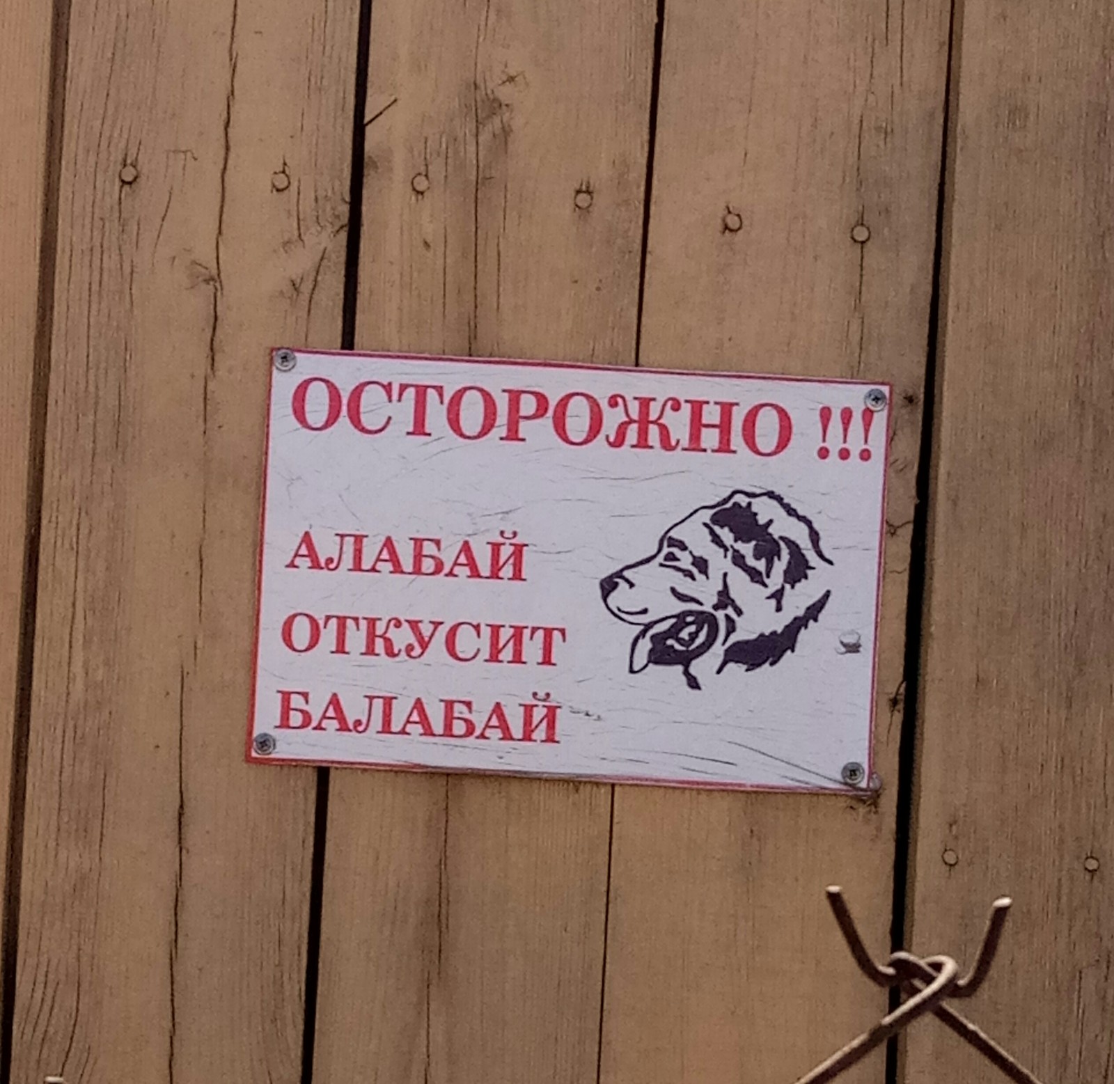 Осторожно! | Пикабу