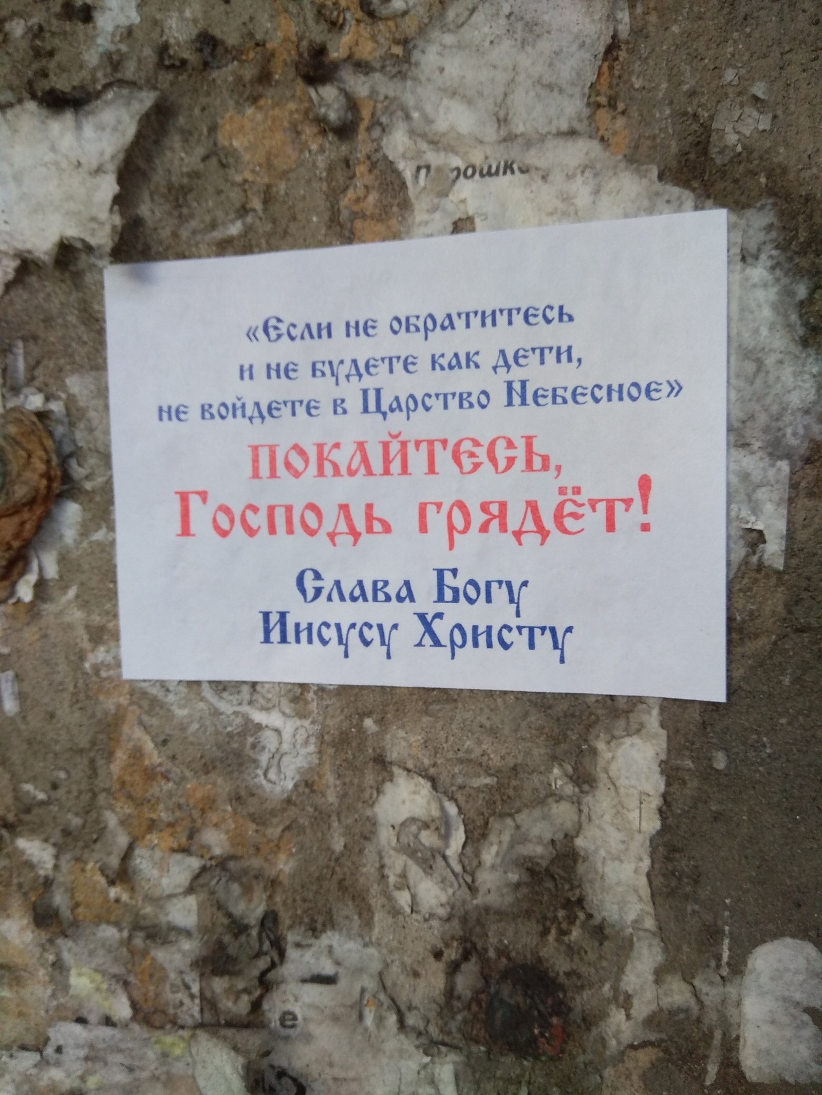 Покайтесь !1 | Пикабу