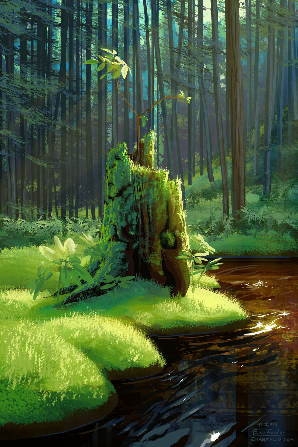 Forest Life - 10.07.18 12:04 | Пикабу
