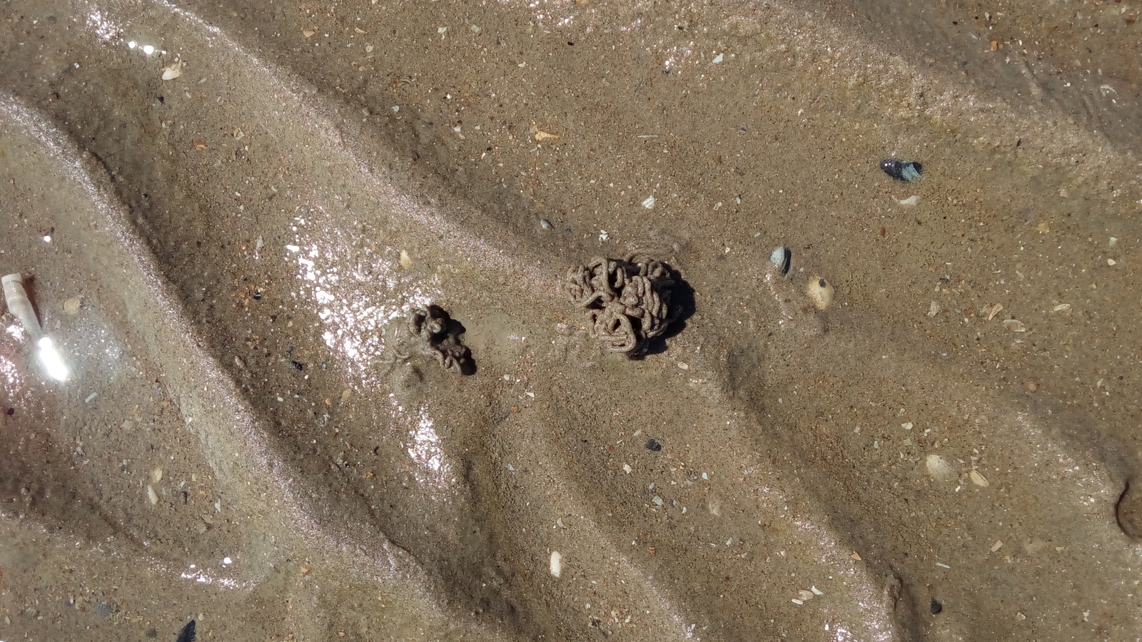 Смотрите под ноги! | Пикабу