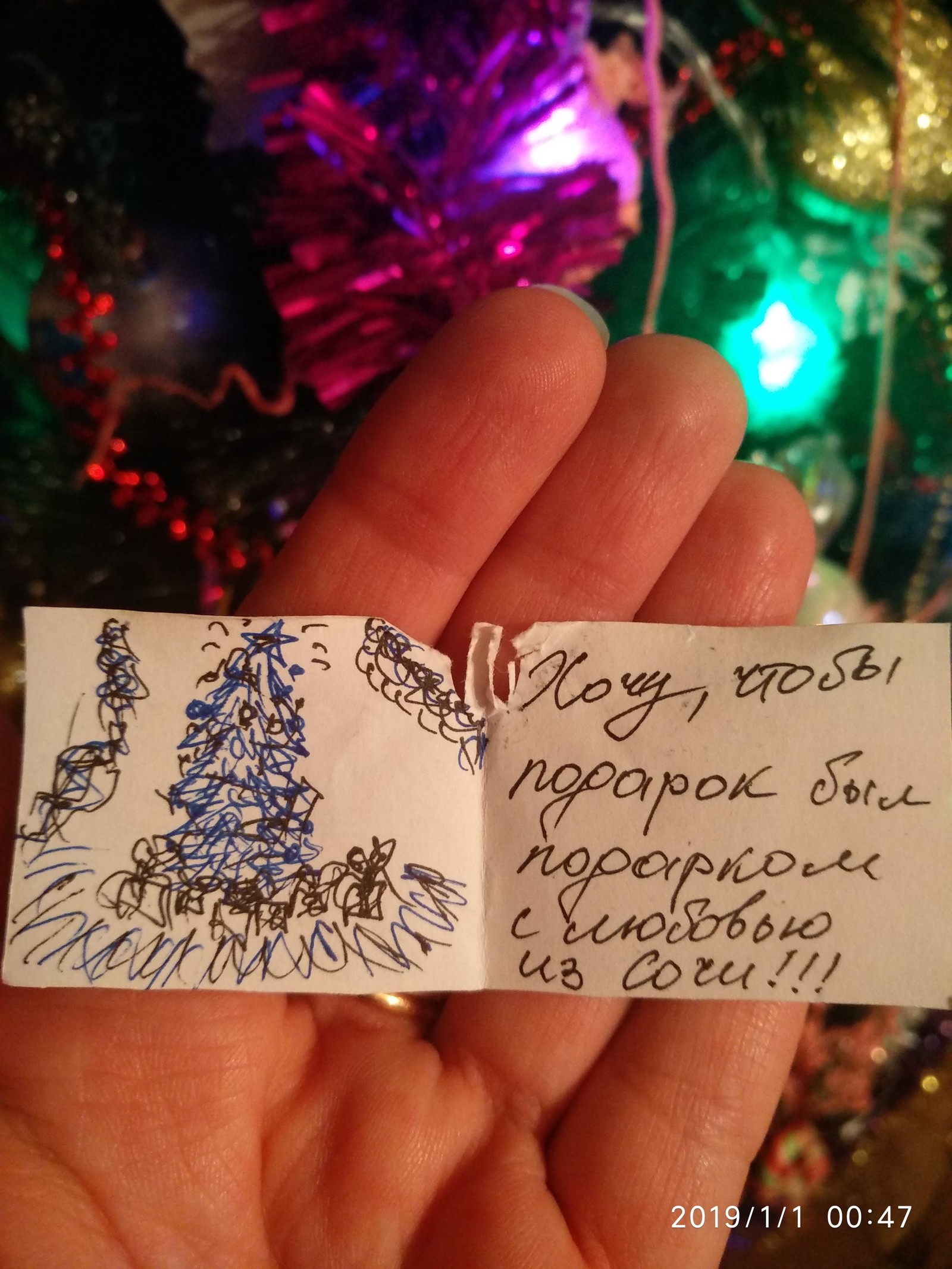 Подарок из Сочи :) | Пикабу