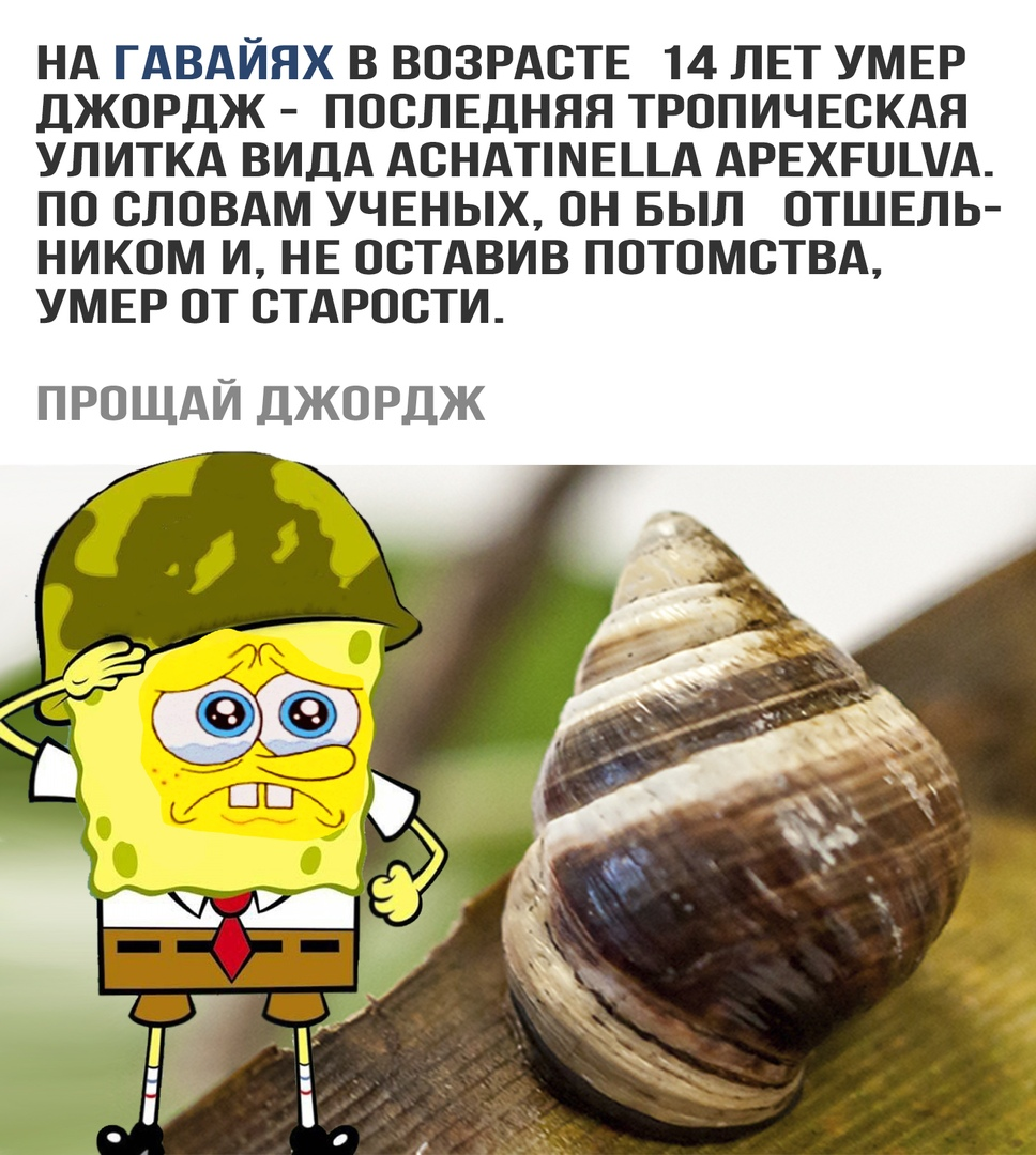 Гавайи | Пикабу