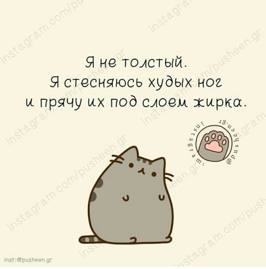 Я не толстый | Пикабу