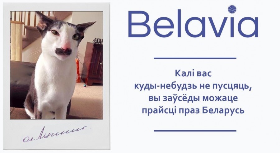 Всегда котов! | Пикабу