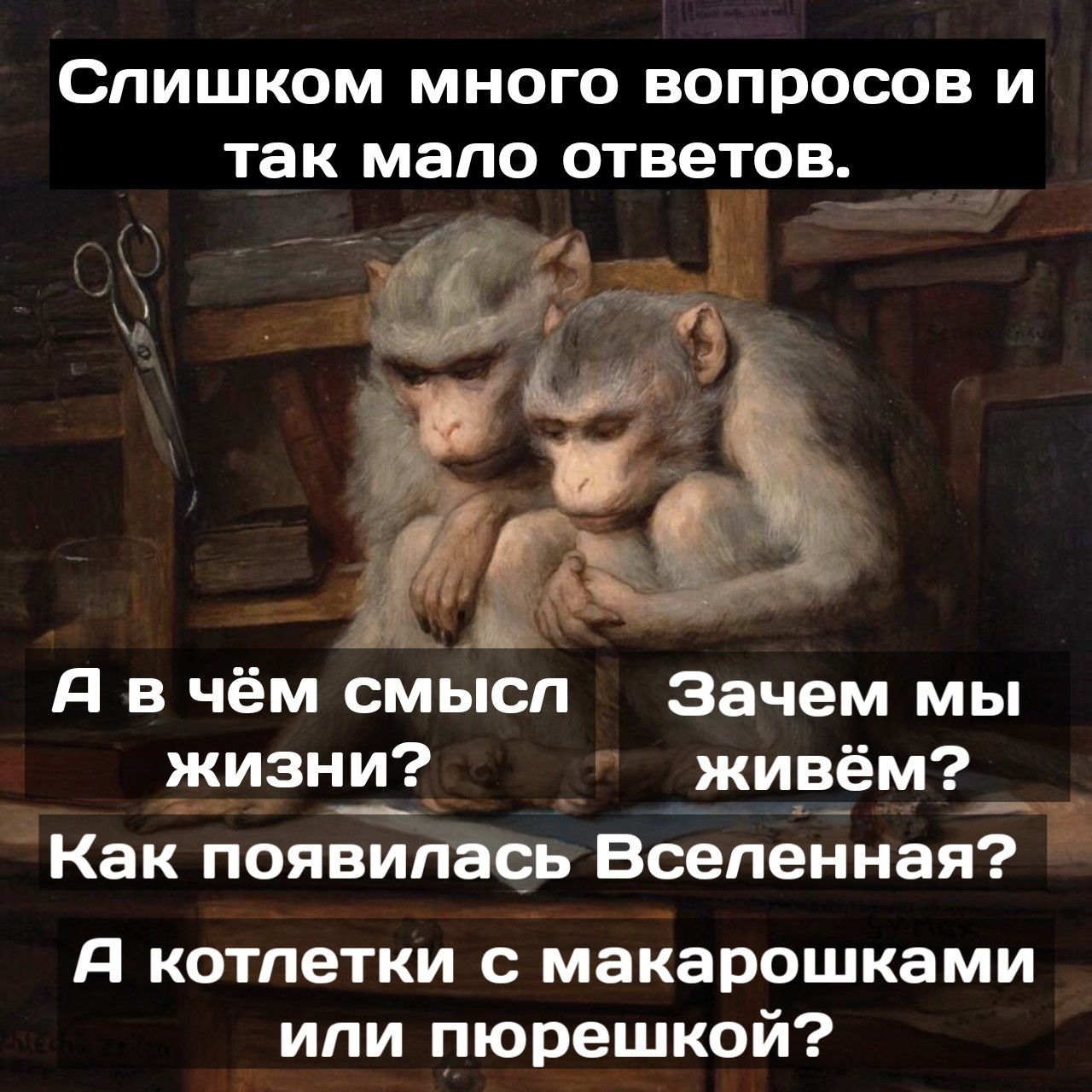 Обезьяны | Пикабу