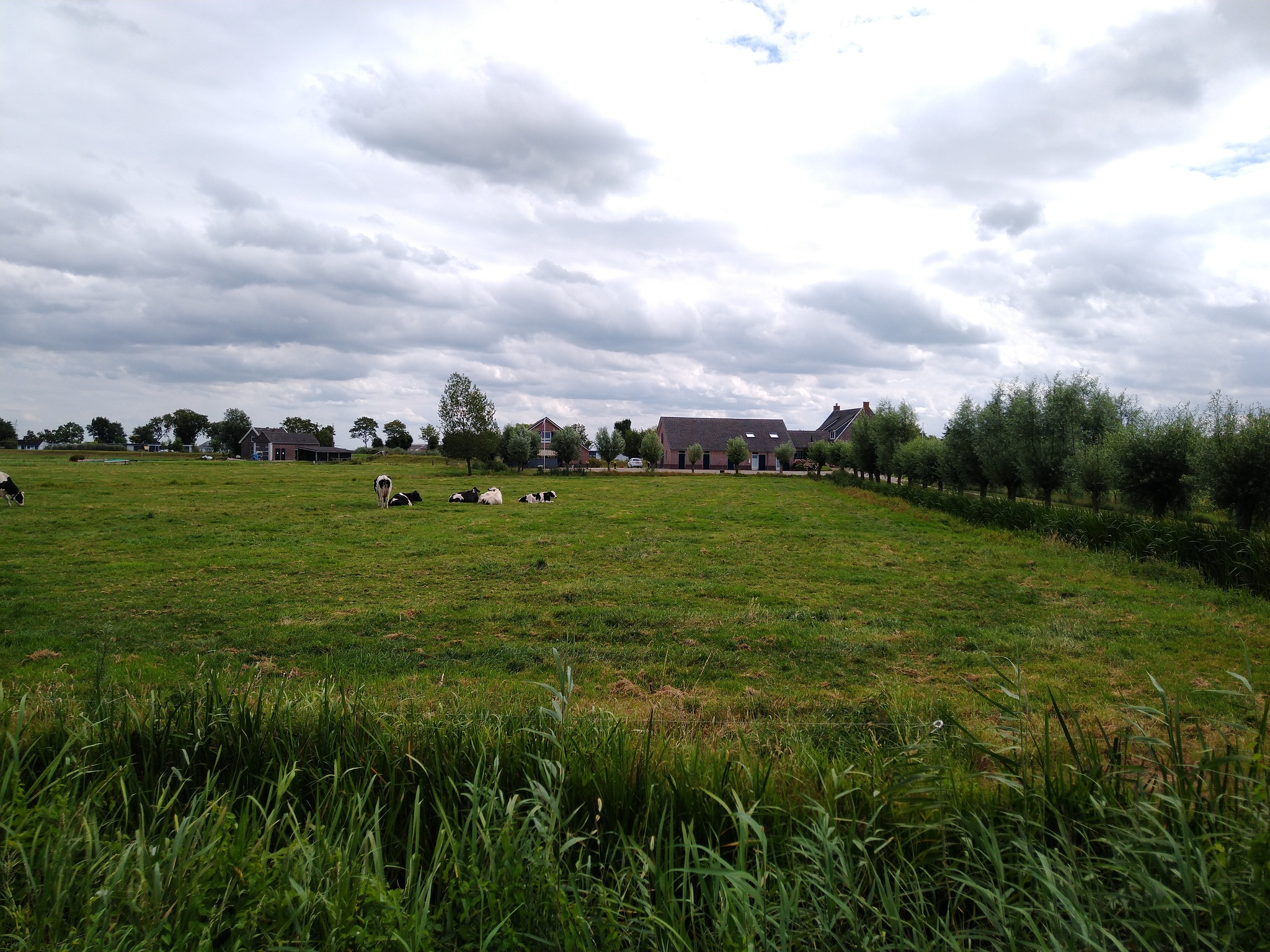 Weesp | Пикабу
